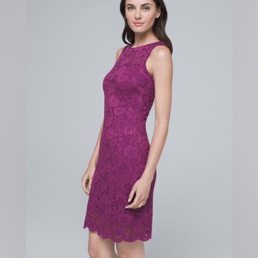 Whbm Red Wine Lace Sheath Dress - Gem